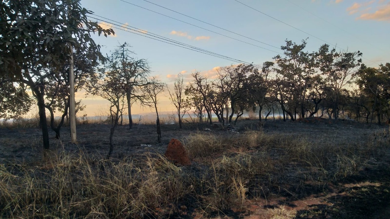 Queimadas próximo da rede elétrica (1) - Rede Luziânia